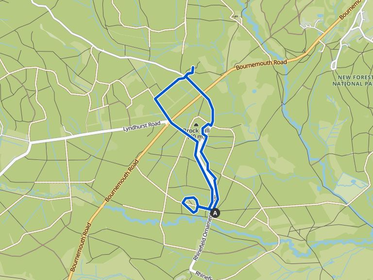 Blackwater Arboretum loop — New Forest National Park | hike | Komoot
